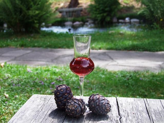 Zirbenschnaps-Rezept | Thermenwelt Hotel Pulverer